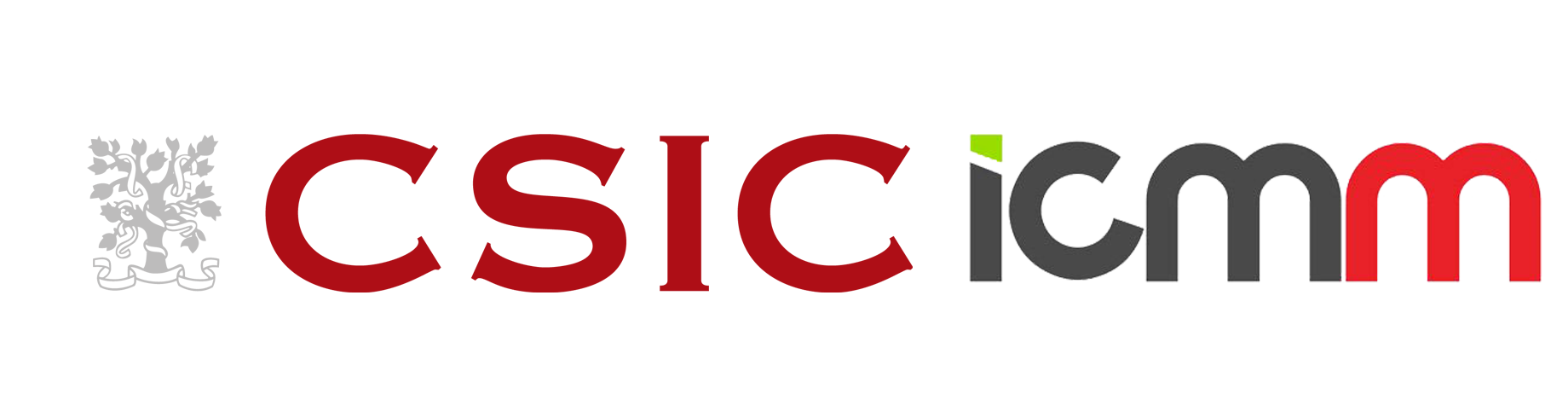 Estructura del ICMM | ICMM